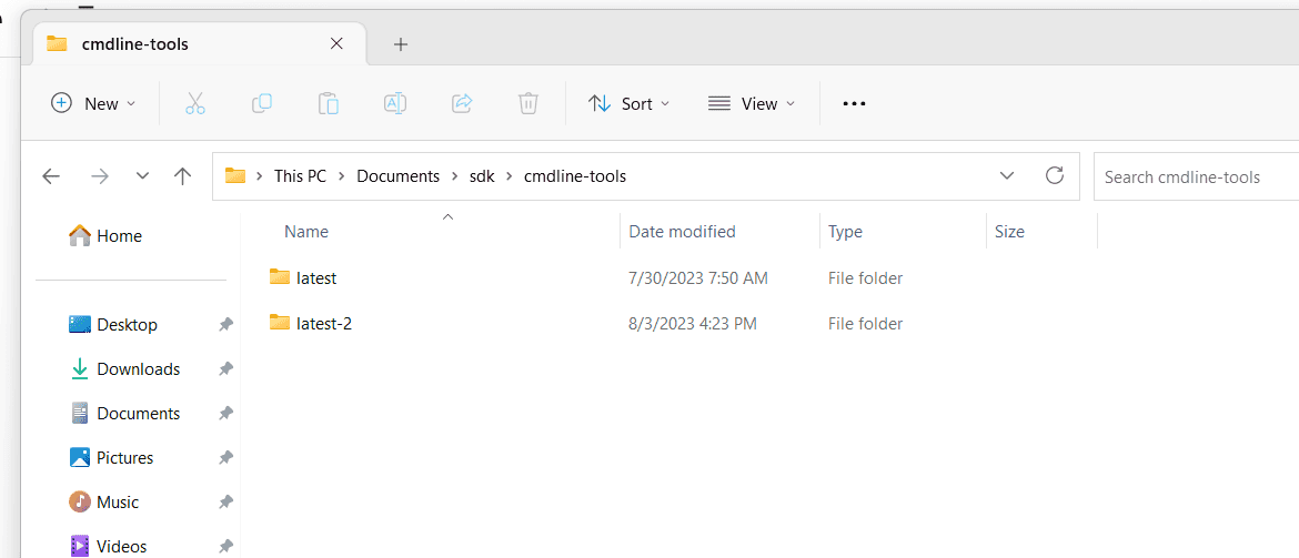 [Solved] Fixing cmdline-tools component is missing Error in Flutter | Learn Pain Less