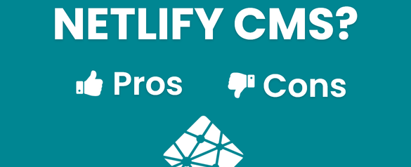 What is Netlify CMS, why should i use this CMS? Pro and Cons of Netlify CMS | Learn Pain Less