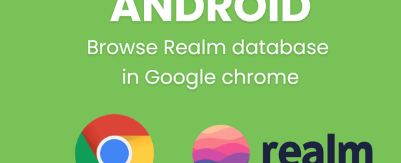 Browse Realm database in Google chrome browser | Learn Pain Less